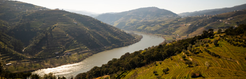 Entdecken Sie den Charme des Douro-Tals in Ihrem Sommerurlaubs in Portugal